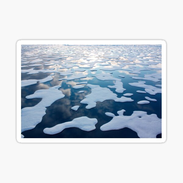 "Arctic Ocean " Sticker by woozy-boozy | Redbubble