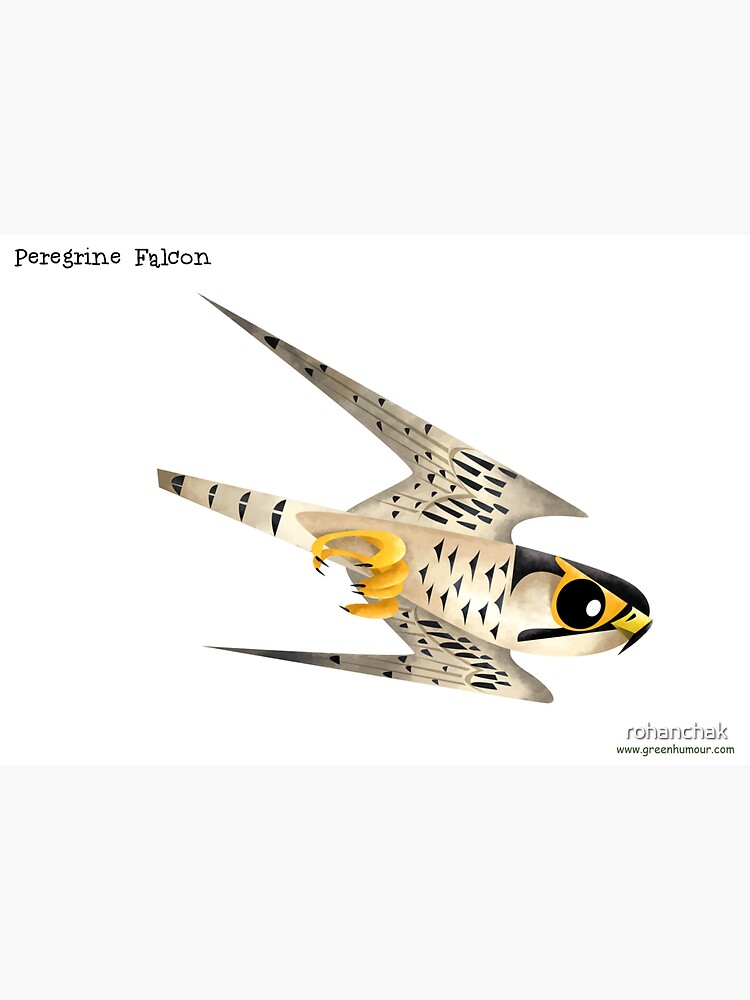 "Peregrine Falcon diving caricature" Sticker by rohanchak | Redbubble
