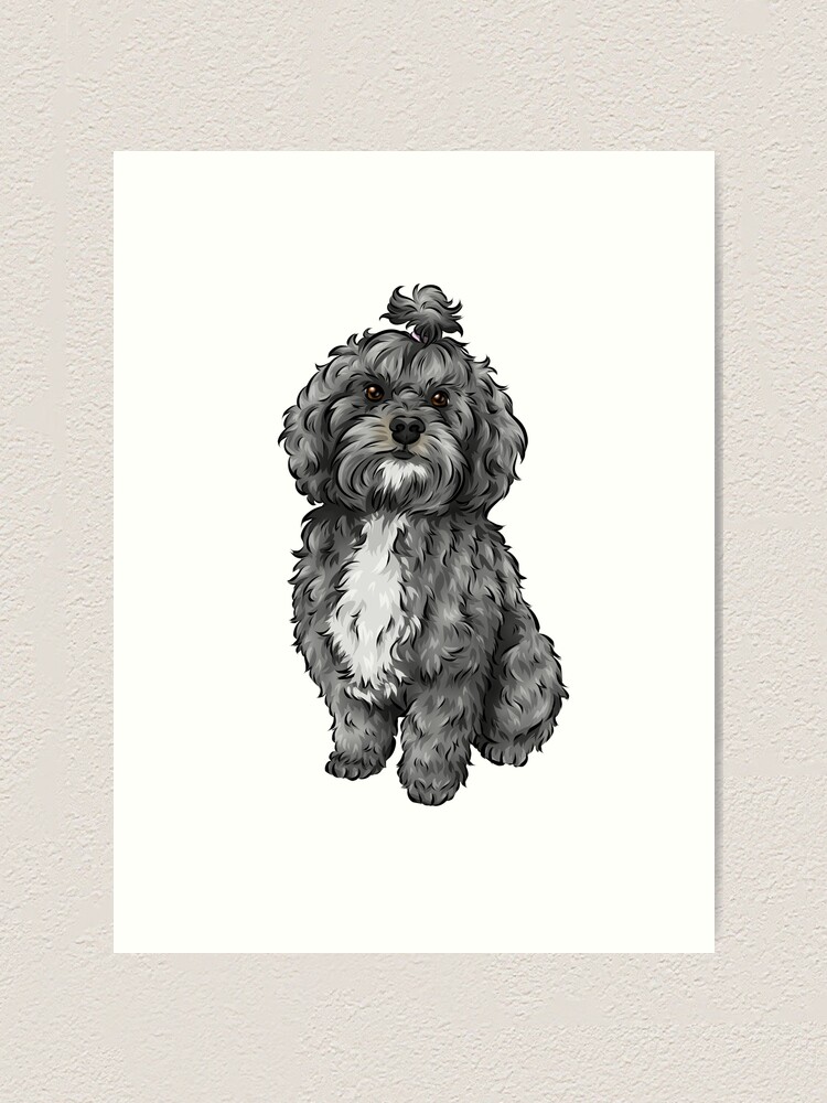 "Lhasapoo | Lhasa Apso and Poodle Cross | Cute Dog Art" Art Print for ...