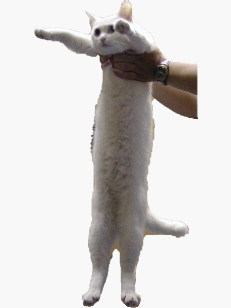 "Longcat | Funny Meme" Sticker for Sale by memeology69 | Redbubble