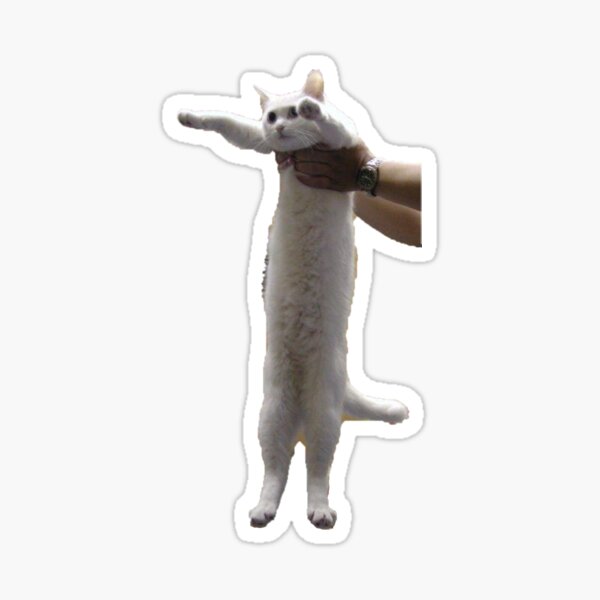 "Longcat | Funny Meme" Sticker for Sale by memeology69 | Redbubble