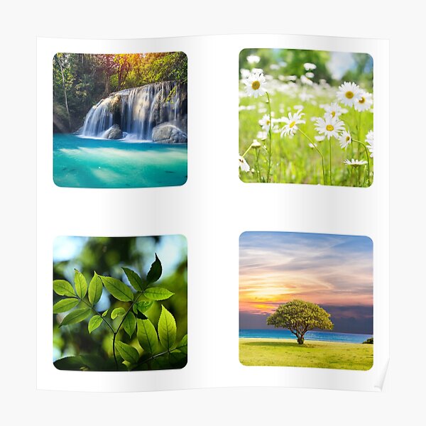 "Beautiful Nature Sticker Pack" Poster for Sale by StickersAllOver ...