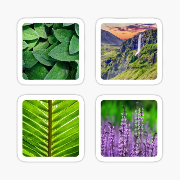 "Beautiful Nature Sticker Pack" Sticker by StickersAllOver | Redbubble
