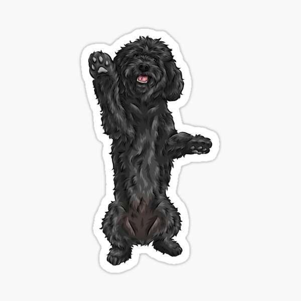 "Cute Black Cockapoo Dog" Sticker by shirinsart | Redbubble