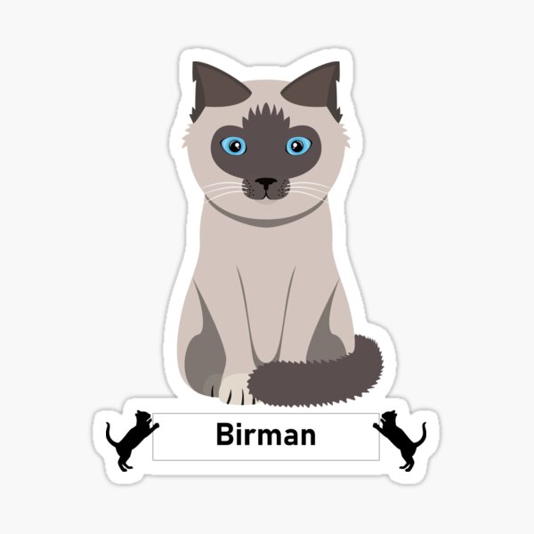 "Birman Cat Breed - Cartoon Art Style" Sticker by EdKid | Redbubble