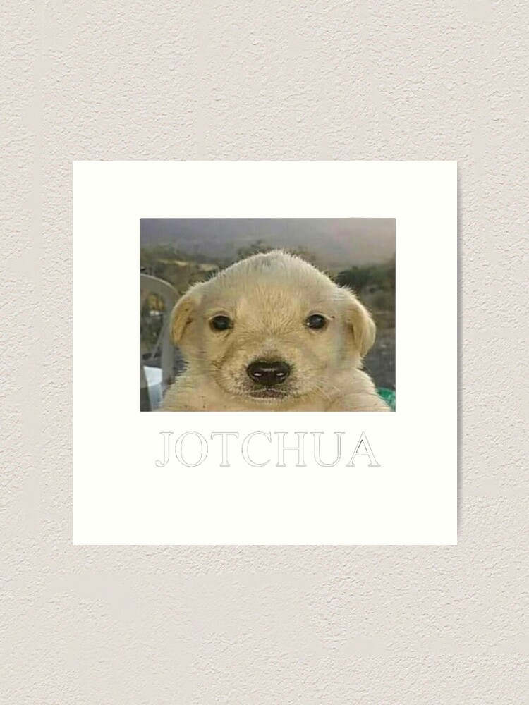 "Jotchua Dog, Hola Esquizo | Funny Meme" Art Print by memeology69 ...