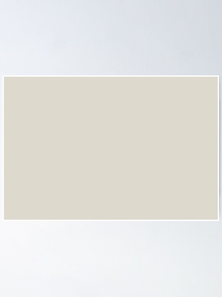 "Bone White Solid Color Coordinates w/ Benjamin Moore 2022 Popular Hue ...