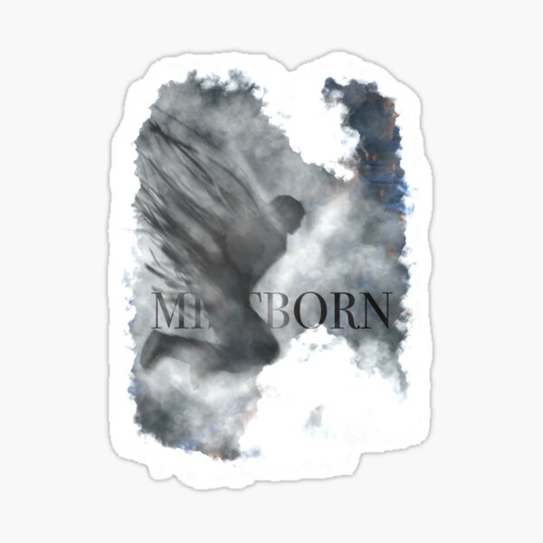"Flying through the mist " Sticker for Sale by BlackWhiteBouje | Redbubble