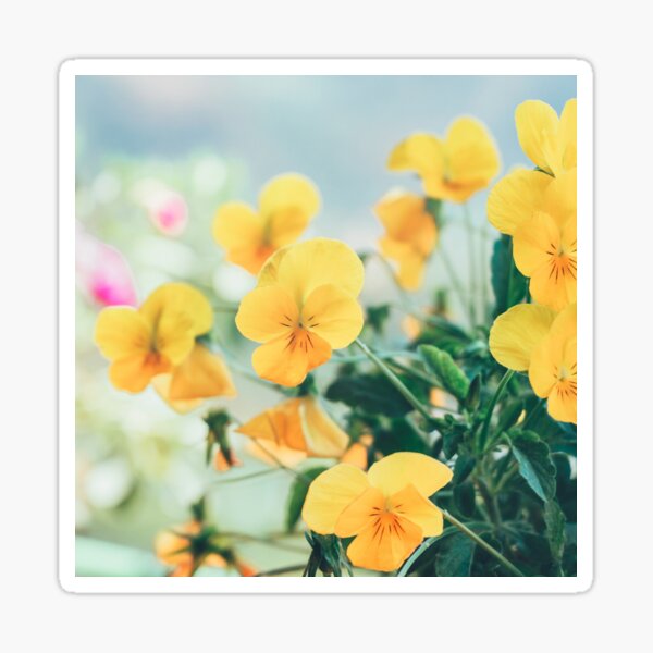 "Yellow flowers" Sticker for Sale by sabaa12 | Redbubble