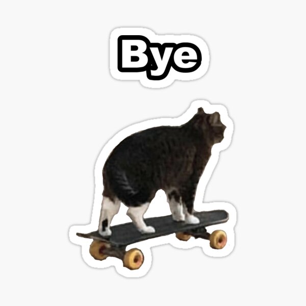"bye skatboard cat" Sticker for Sale by yanncito | Redbubble