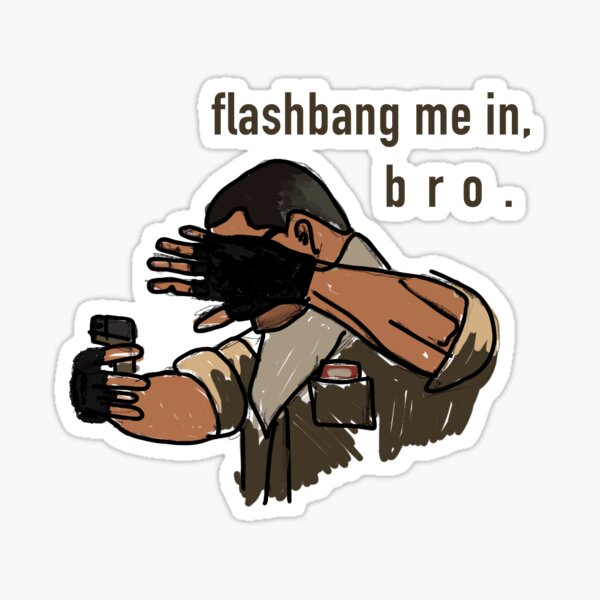 "Csgo “fail flash”" Sticker for Sale by Guacamulve | Redbubble