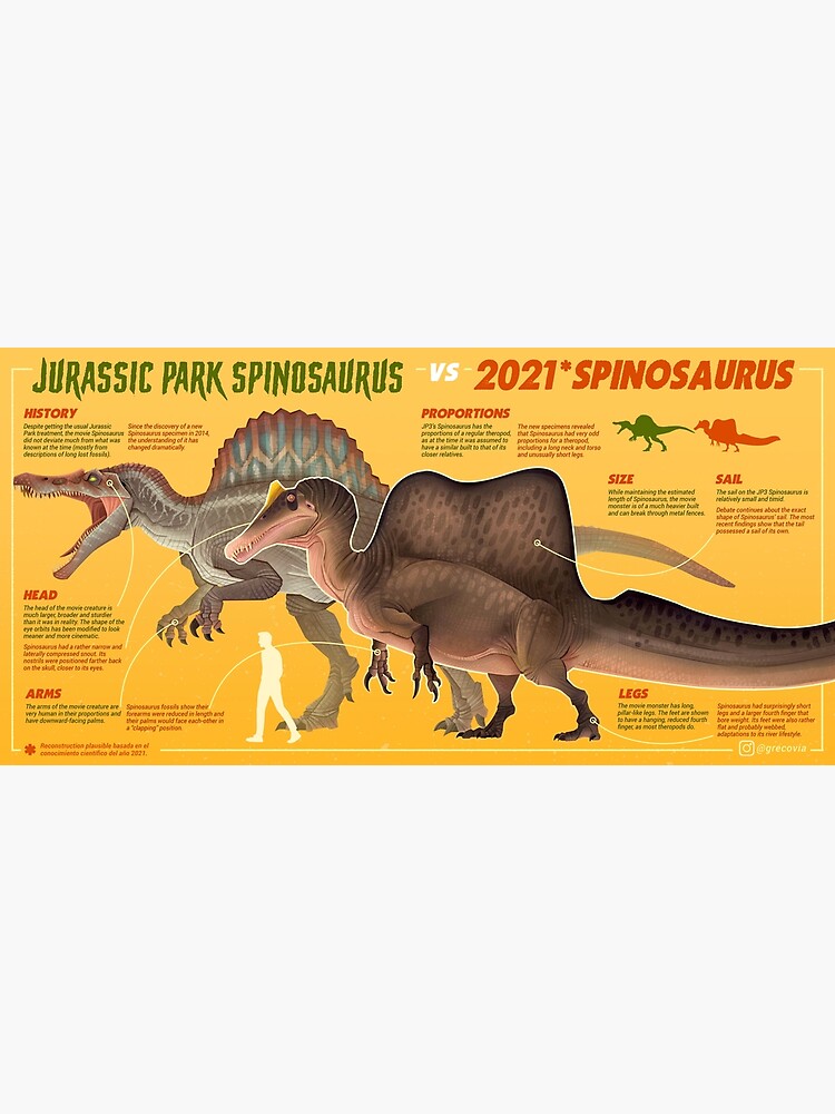 "Spinosaurus Infographic" Poster for Sale by Grecovia | Redbubble