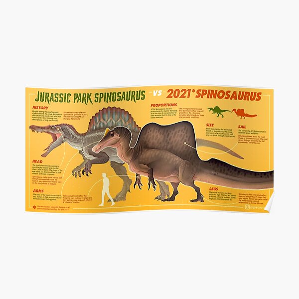 "Spinosaurus Infographic" Poster for Sale by Grecovia | Redbubble