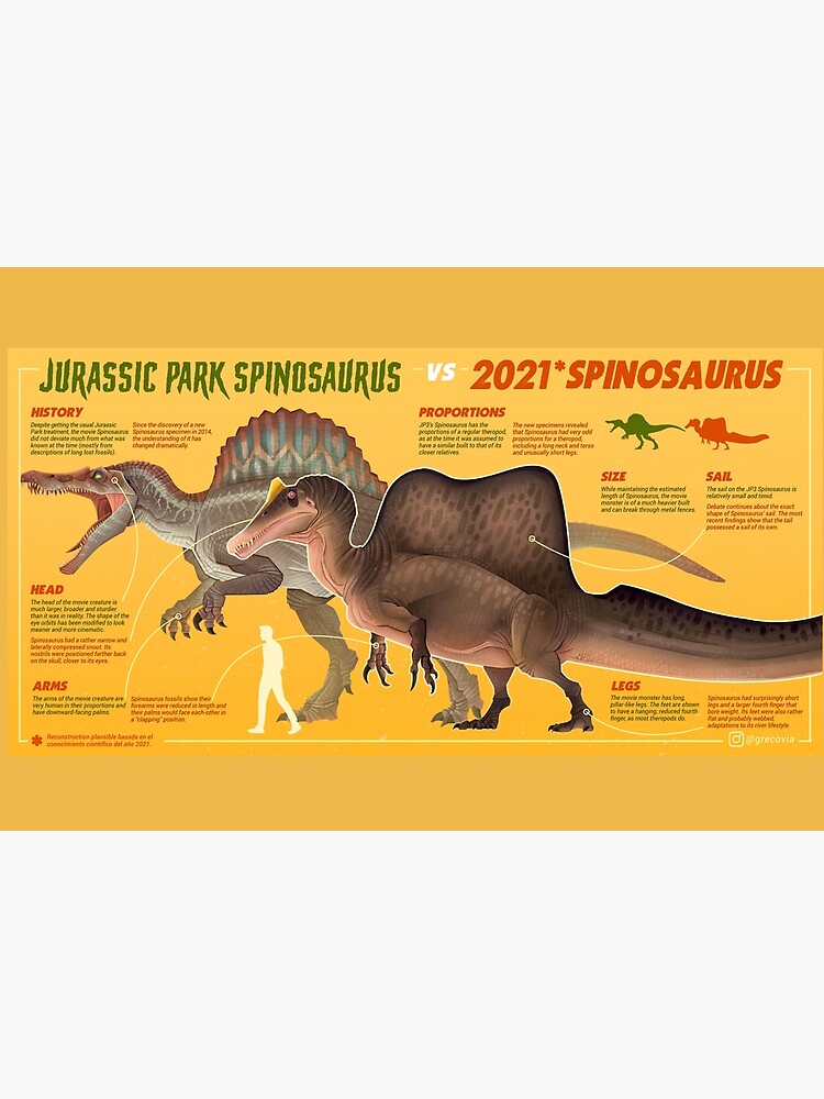 Spinosaurus Size Chart