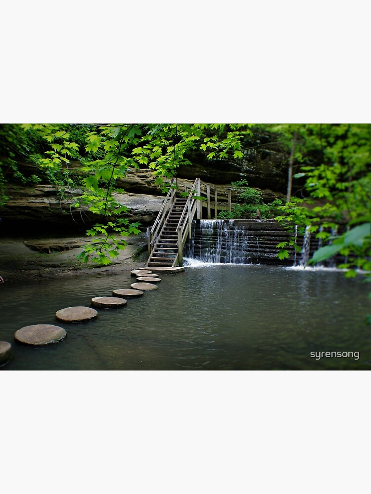 "Water Pathway" Poster for Sale by syrensong | Redbubble