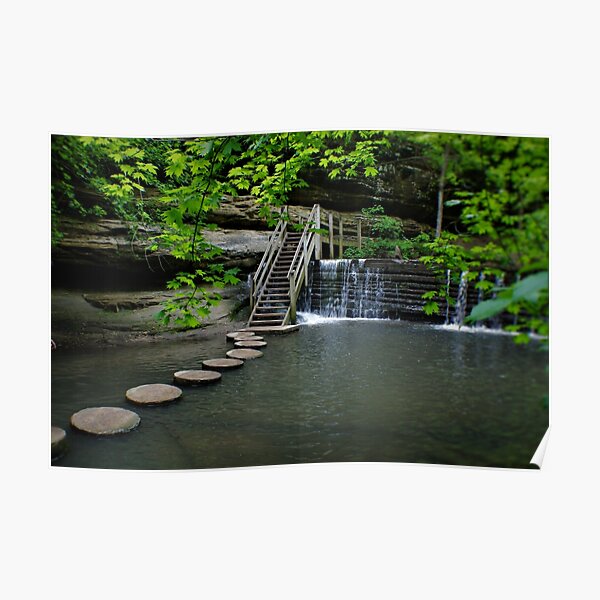 "Water Pathway" Poster for Sale by syrensong | Redbubble