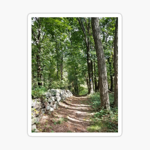 "Sunlit Path" Sticker for Sale by LaLaTextiles | Redbubble
