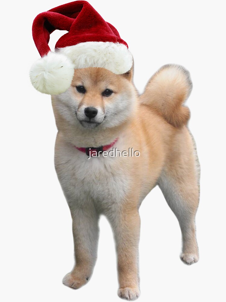 "A Christmas shibe" Sticker for Sale by jaredhello | Redbubble