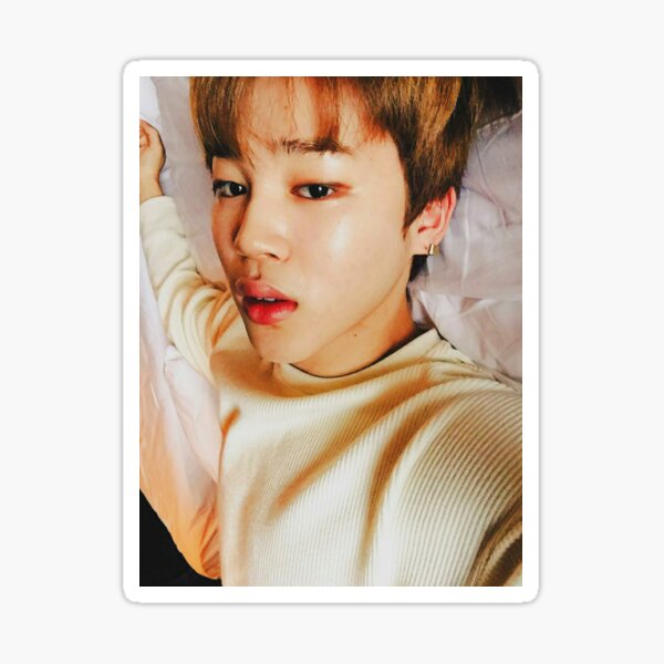 "BTS JIMIN" Sticker for Sale by JIMINIECHIMCHIM | Redbubble