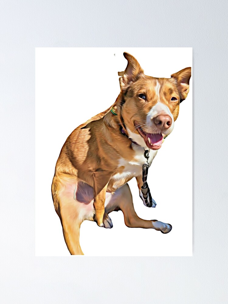 "Cute Pitbull Animation" Poster for Sale by Acorn497 | Redbubble