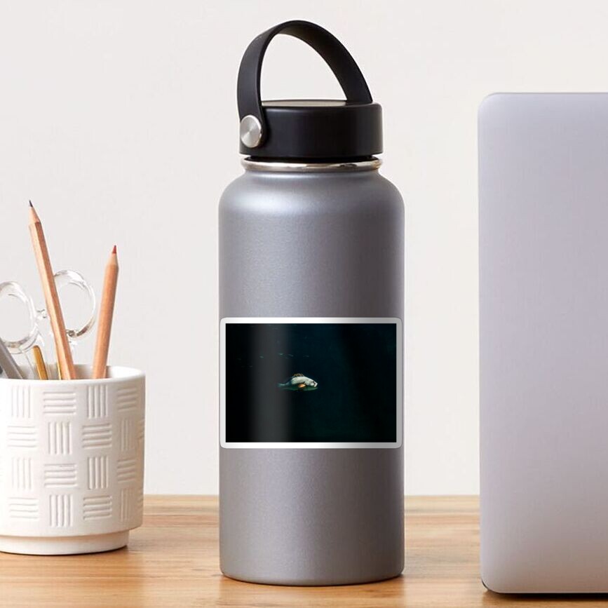 "Yellow Belly Rock Cod" Sticker for Sale by r0xii | Redbubble