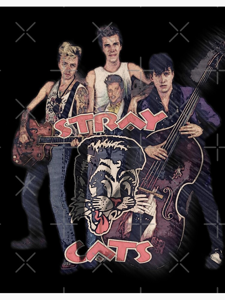 "Stray cats" Poster by V2711S | Redbubble