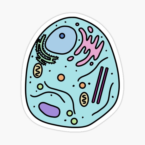"Cute Animal Cell - Biology" Sticker for Sale by BundaBear | Redbubble