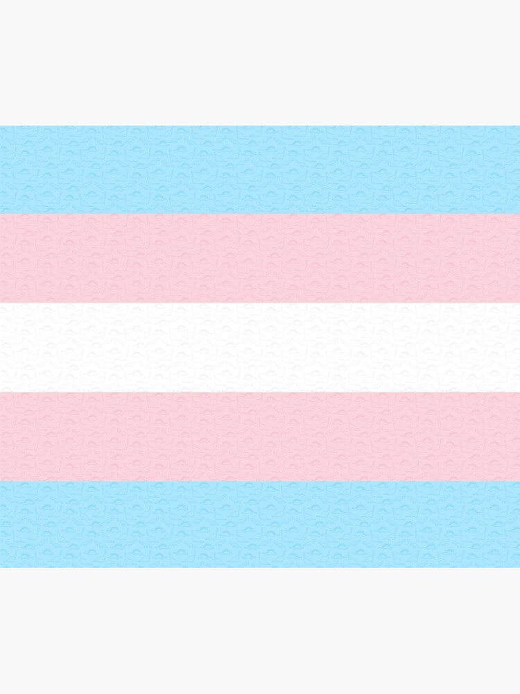 "Transaurus Rex FLAG" Poster by LulusaurusRex | Redbubble