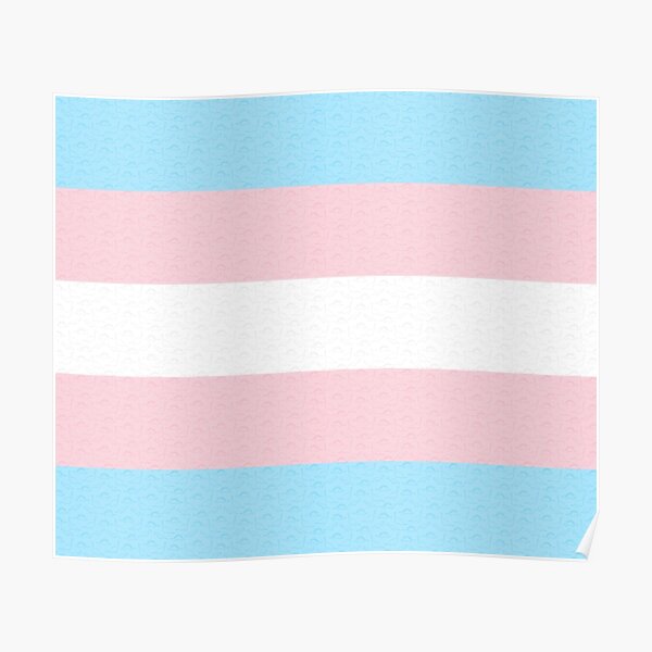 "Transaurus Rex FLAG" Poster by LulusaurusRex | Redbubble