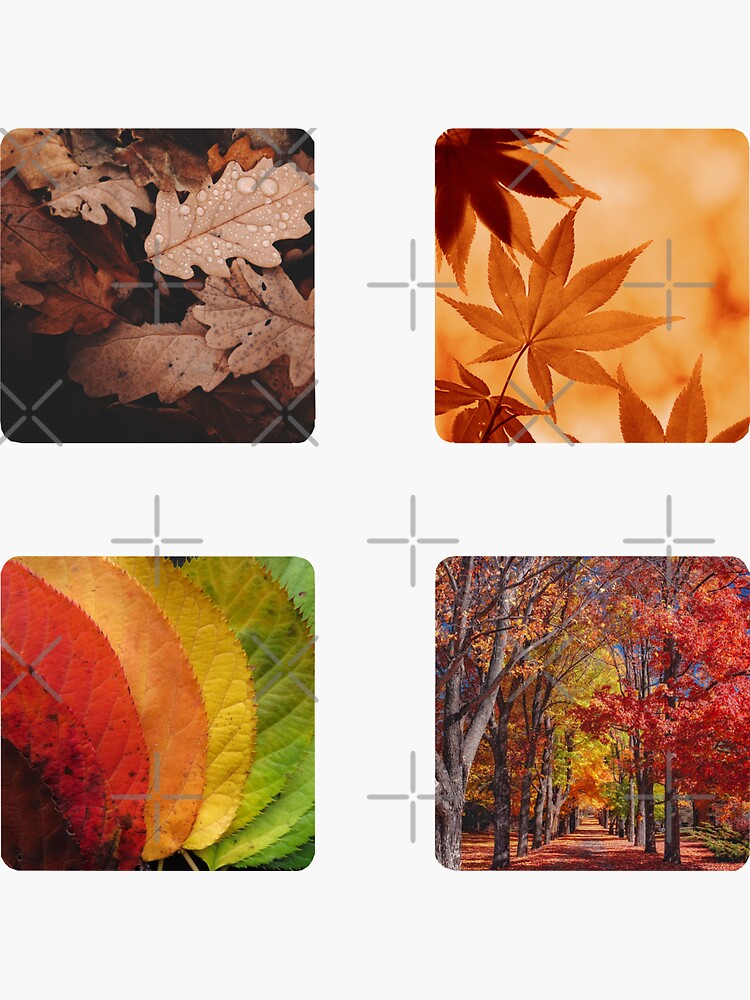 "Autumn Is Back Sticker Pack" Sticker by StickersAllOver | Redbubble