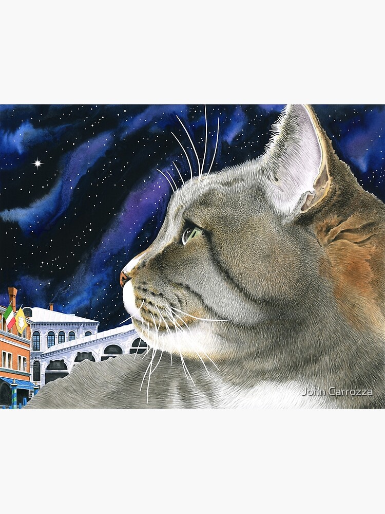 "The Cat and Venus" Poster for Sale by JMCillustrator | Redbubble