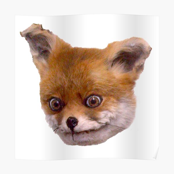"ORIGINAL STONED TAXIDERMY FOX MEME " Poster by Adelemorse | Redbubble