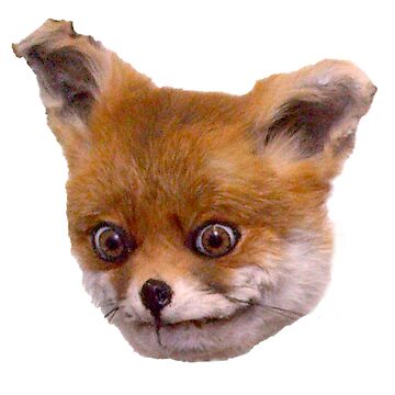 "ORIGINAL STONED TAXIDERMY FOX MEME " Sticker for Sale by Adelemorse ...