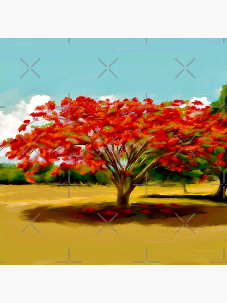 "Blooming Red Flamboyan Tree" Sticker for Sale by gldomenech | Redbubble