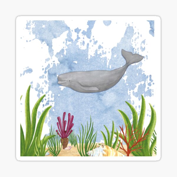 "Beluga Whale" Sticker for Sale by sahara89 | Redbubble