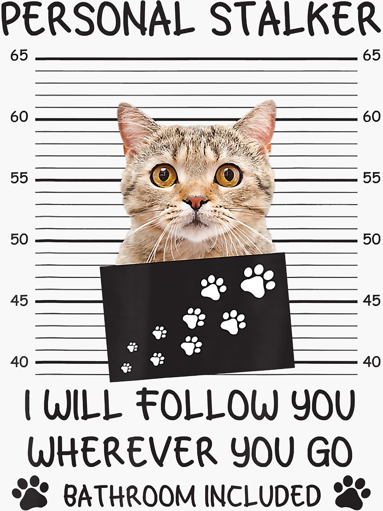 Stalker Cat Memes Stalker | Page 2 | PCSPECIALIST