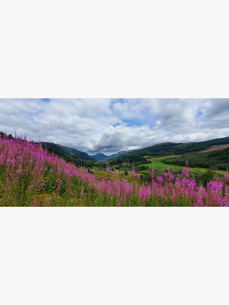 "Scottish Highlands " Sticker by FirstImage | Redbubble
