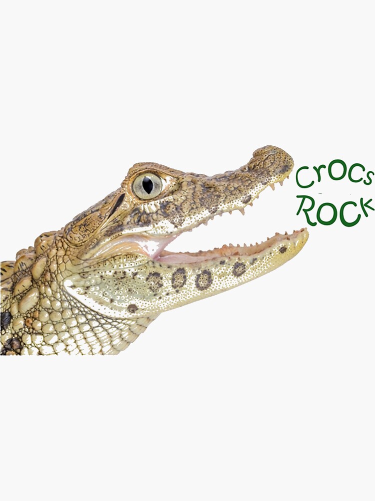"Crocs Rock - Caiman latirostris" Sticker by DylanR8us | Redbubble