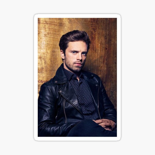 "Funny Gifts Sebastian Stan Idol Gift Fot You" Sticker for Sale by ...