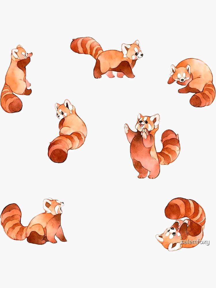 "cute red pandas sticker pack" Sticker for Sale by salemfoxy | Redbubble