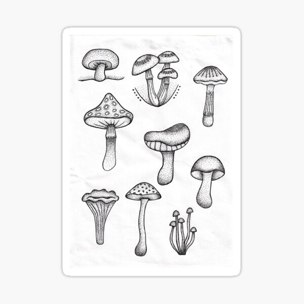 "Shrooms" Sticker by meganfaithart | Redbubble