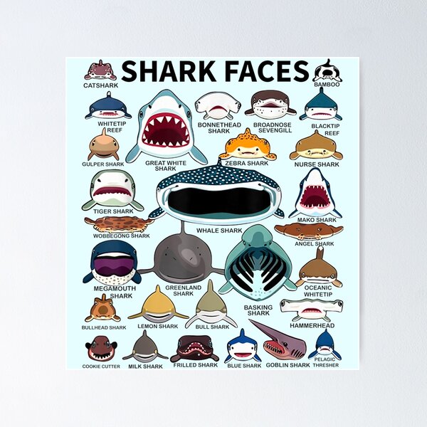 "Shark Faces - Type of Shark - Shark Faces of All Kinds" Poster for ...