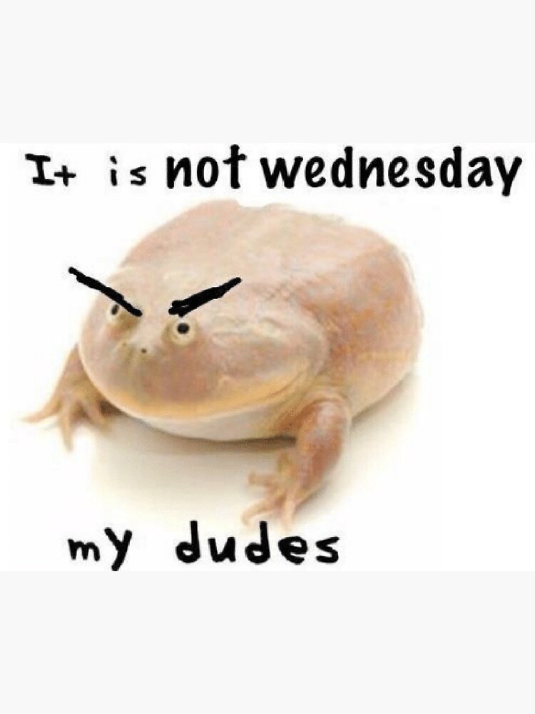 "It Is NOT Wednesday My Dudes Frog Meme" Sticker for Sale by ...