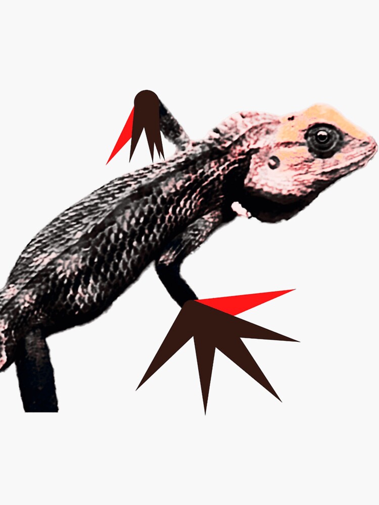 "Black Wicked Lizard " Sticker for Sale by AmoretORLA | Redbubble