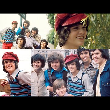 "The Osmonds, Alan, wayne, Jay, Jimmy, Merrill, Wayne, Donny ...