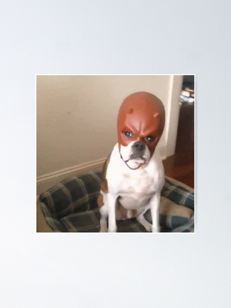 "DareDevil Dawg" Poster for Sale by AnimeLTD | Redbubble