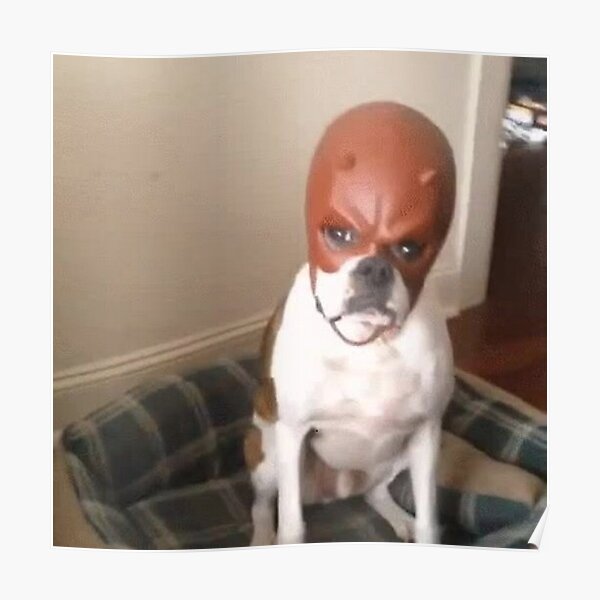 "DareDevil Dawg" Poster by AnimeLTD | Redbubble