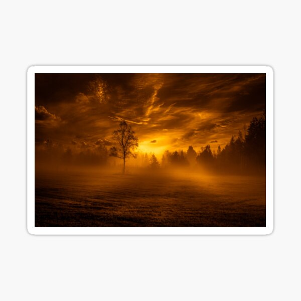 "Morning, Dusk ,Dawn Picture" Sticker for Sale by DarkHumorstore ...