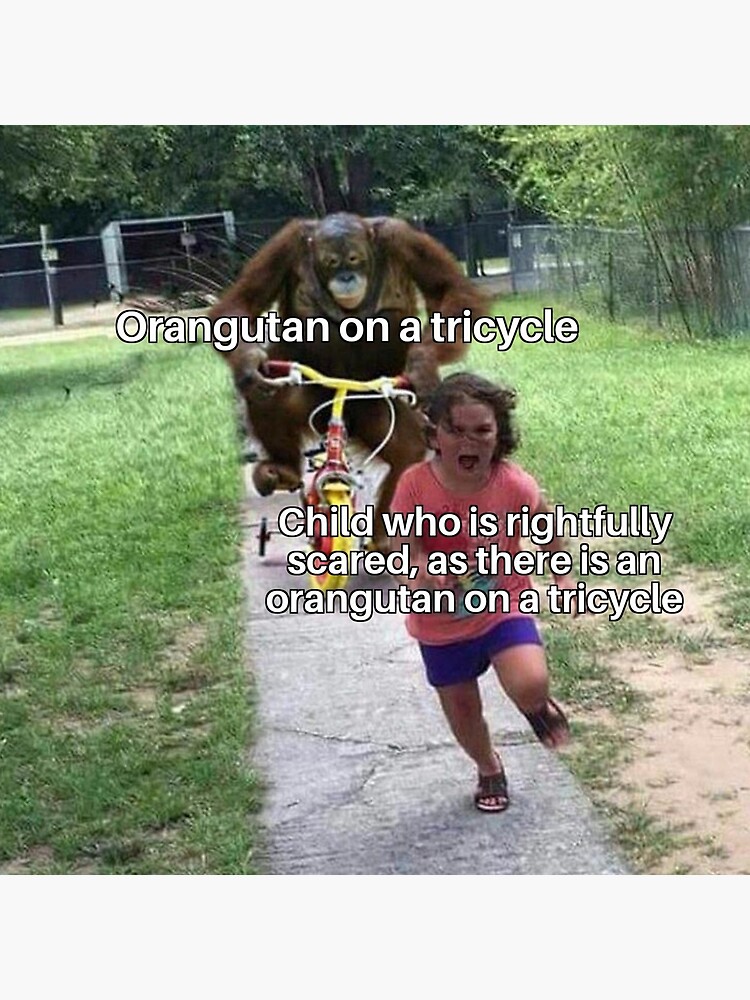 "Monkey chasing a girl meme" Poster for Sale by Creep1 | Redbubble