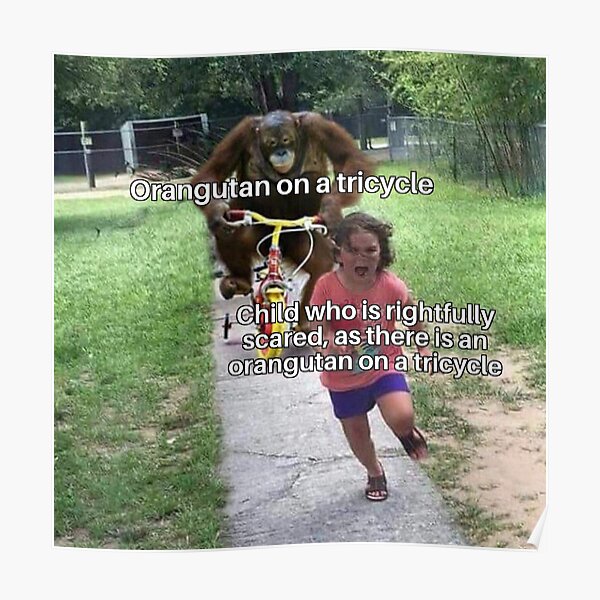 "Monkey chasing a girl meme" Poster for Sale by Creep1 | Redbubble